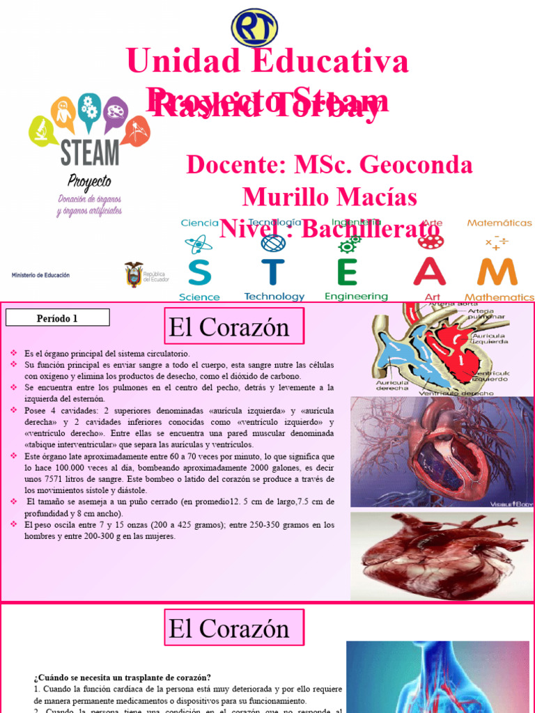 Proyecto Steam | PDF