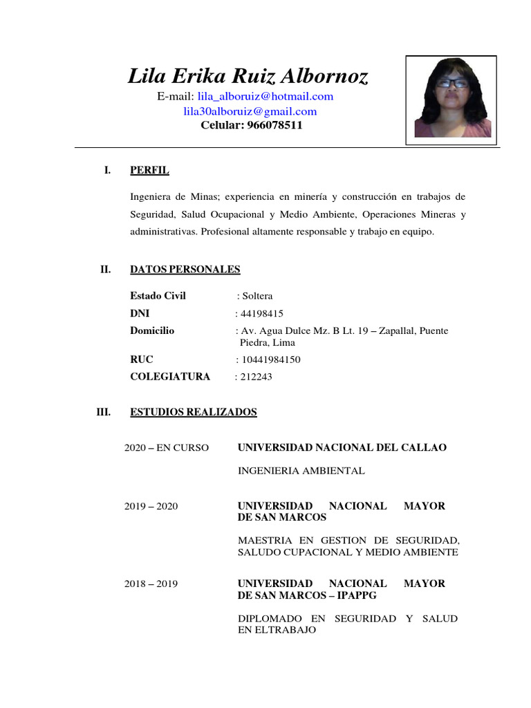 CV - Erika Ruiz | PDF | Ingeniería | Business