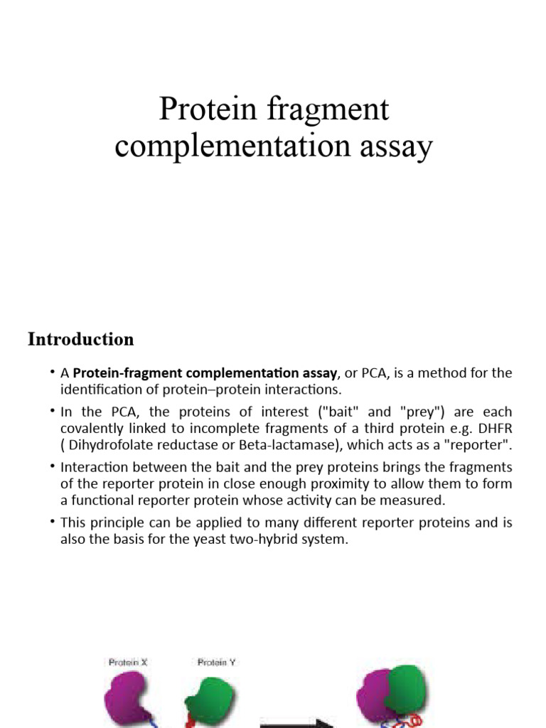 Protein Fragment Complementation Assay | PDF | Molecular Biology | Cell ...