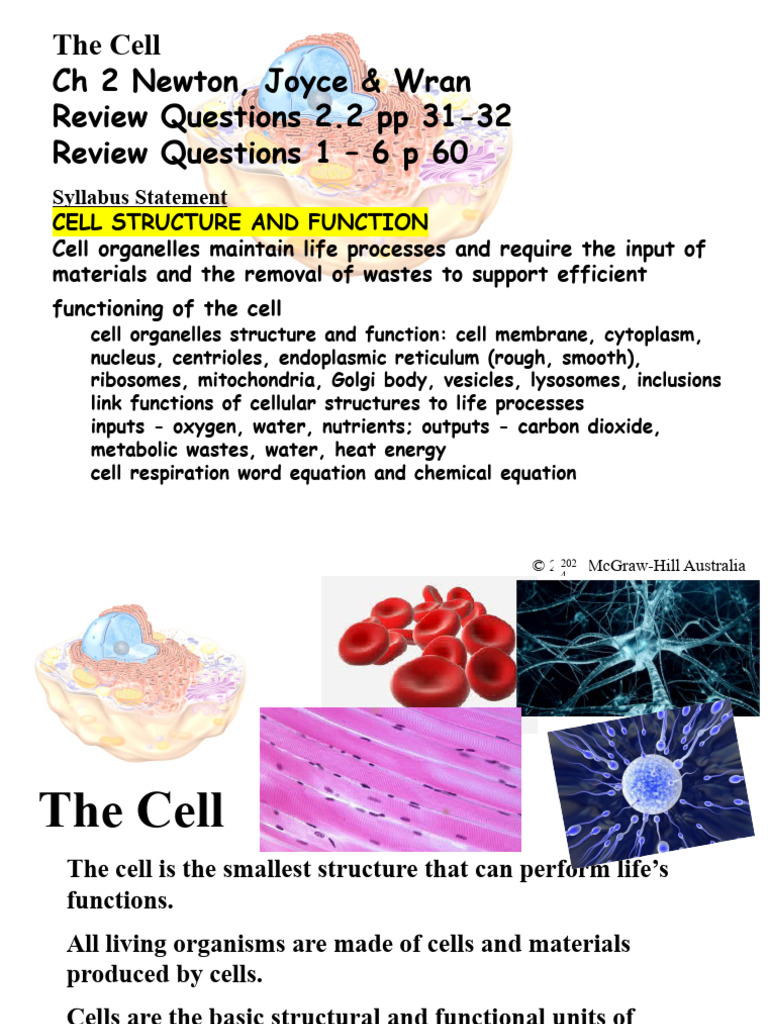 1 Cell Organelles Year 11 Jo 2024 | PDF | Cell (Biology) | Cytoplasm