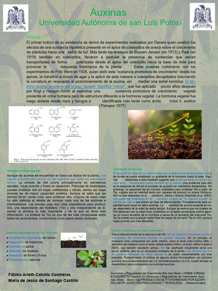 Cartel auxinas | PDF | Auxina | Hormona Vegetal
