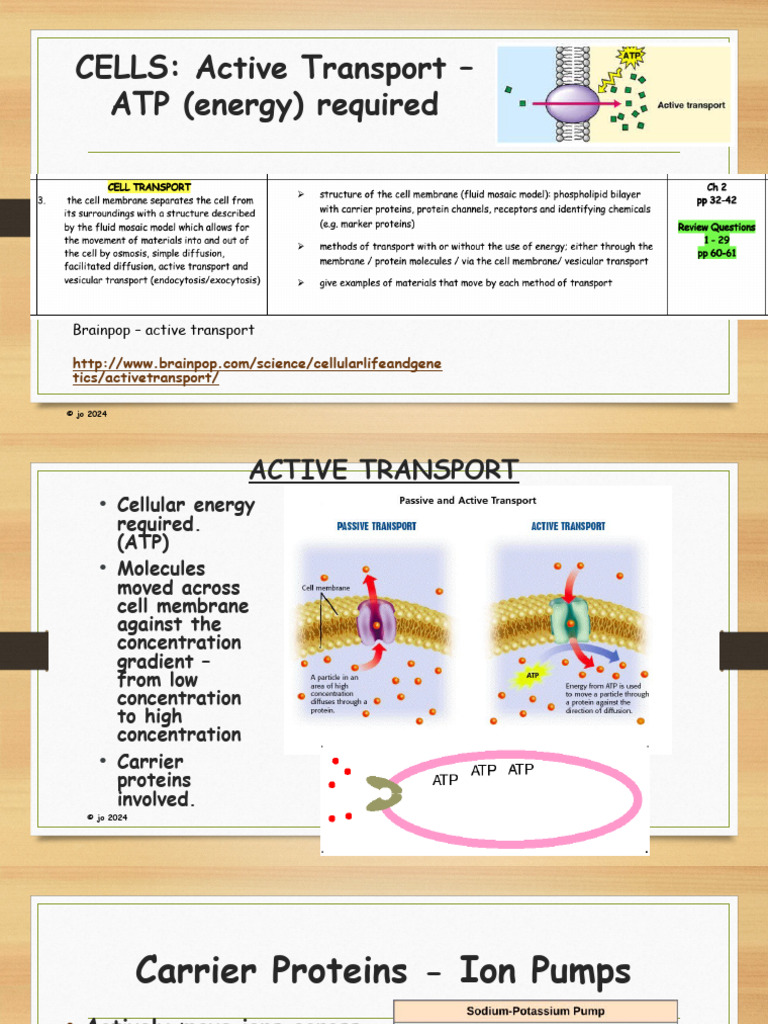 MEMBRANE TRANSPORT Year 11 Power Point | PDF