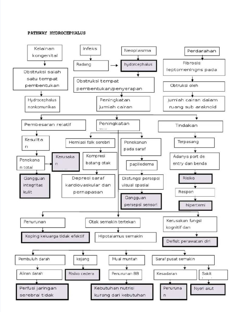 PDF Pathway Hidrosefalus - Compress | PDF