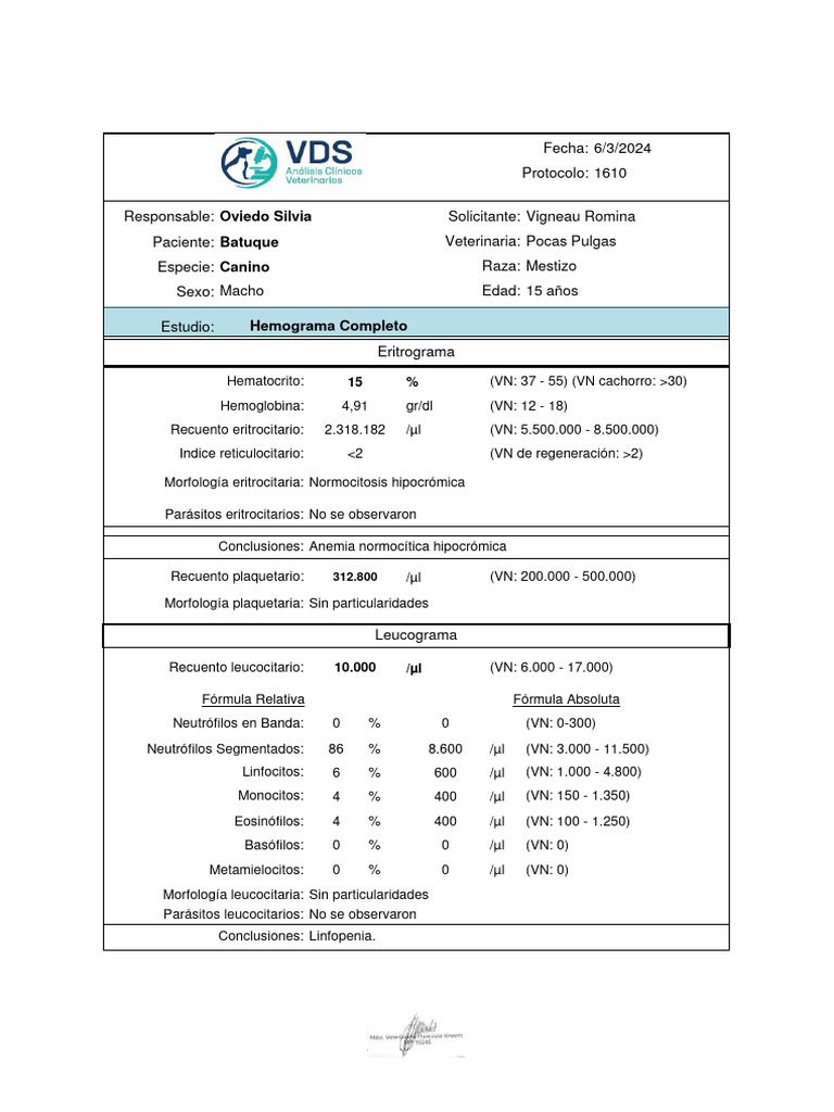 Informe Batuque Oviedo | PDF | Medicina CLINICA | Tejido (biología)