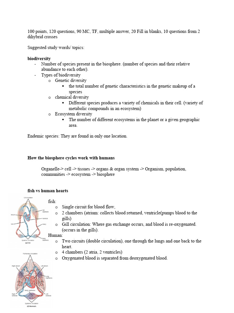 Final Sheet | PDF | Meiosis | Messenger Rna