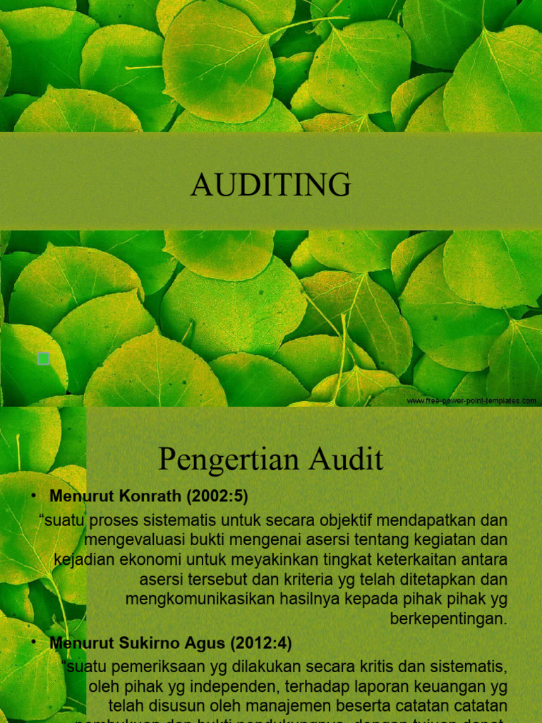 Auditing 1 | PDF | Karier & Perkembangan | Bisnis