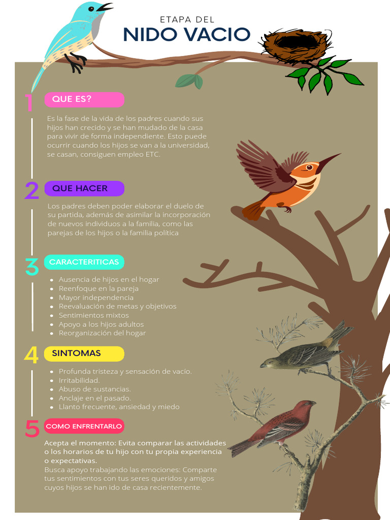Infografia Etapa Nido vacio | PDF