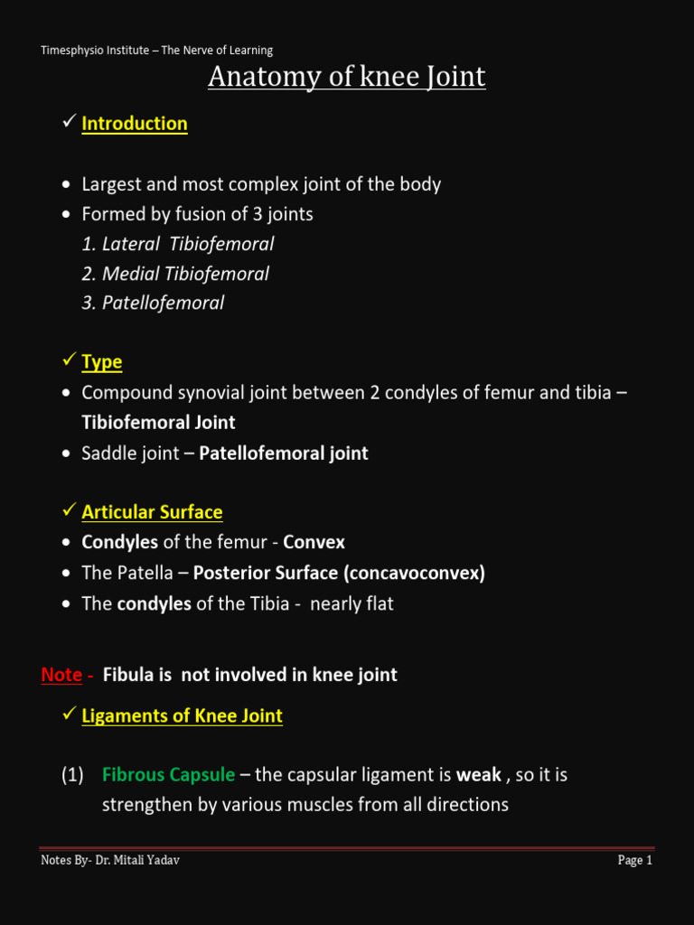 Anatomy of Knee Joint Final | PDF