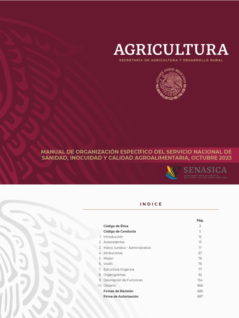 Manual de Organizaci N | PDF | Responsabilidad | México