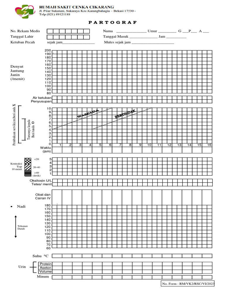 Format PARTOGRAF | PDF