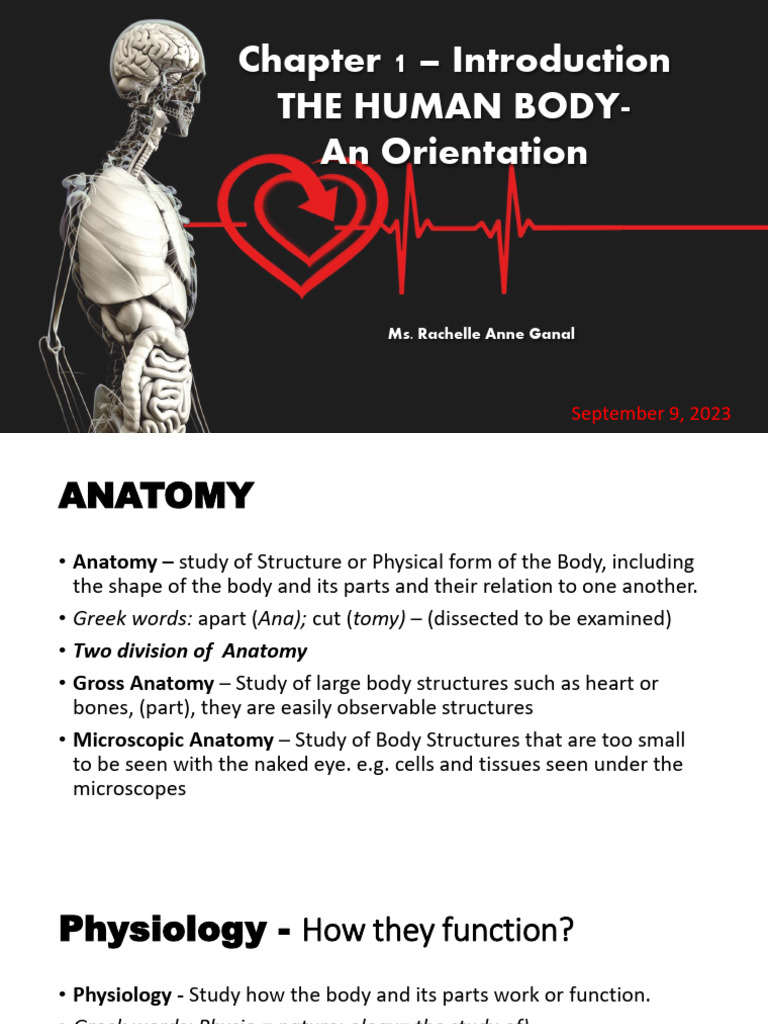 Chapter 1 Anatomy and Physiology | PDF
