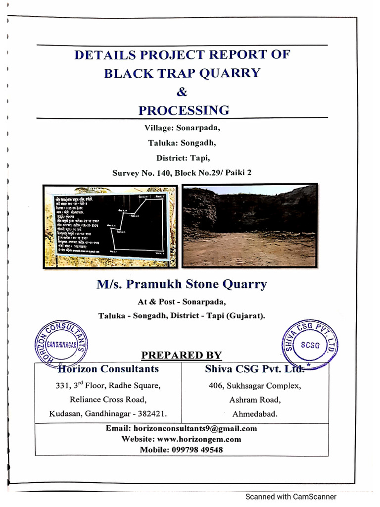 Pramukh Project Report | PDF