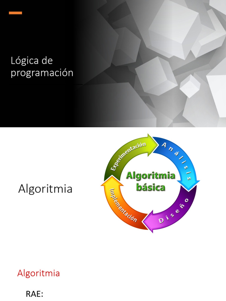 3-Algoritmia y Representación | PDF