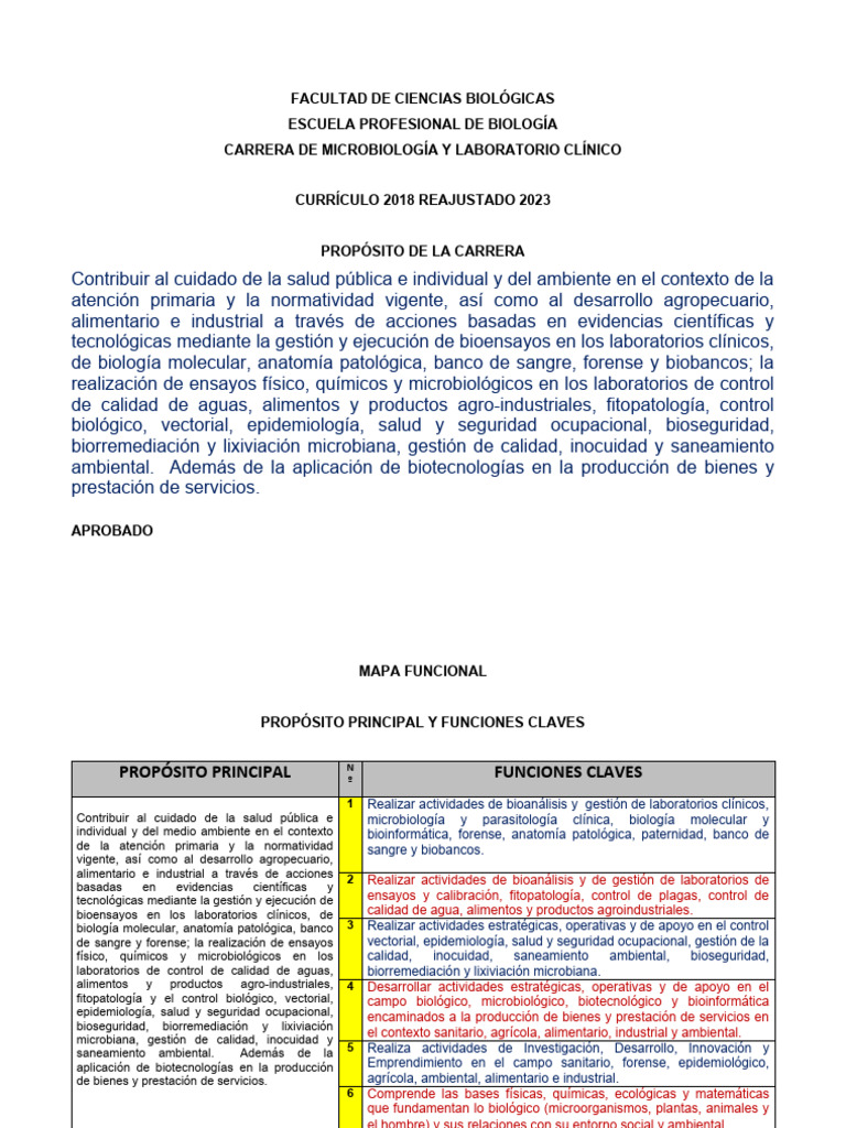 PROPÓSITO PRINCIPAL Y FUNCIONES CLAVES 2018 A 2023 APROBADO | PDF