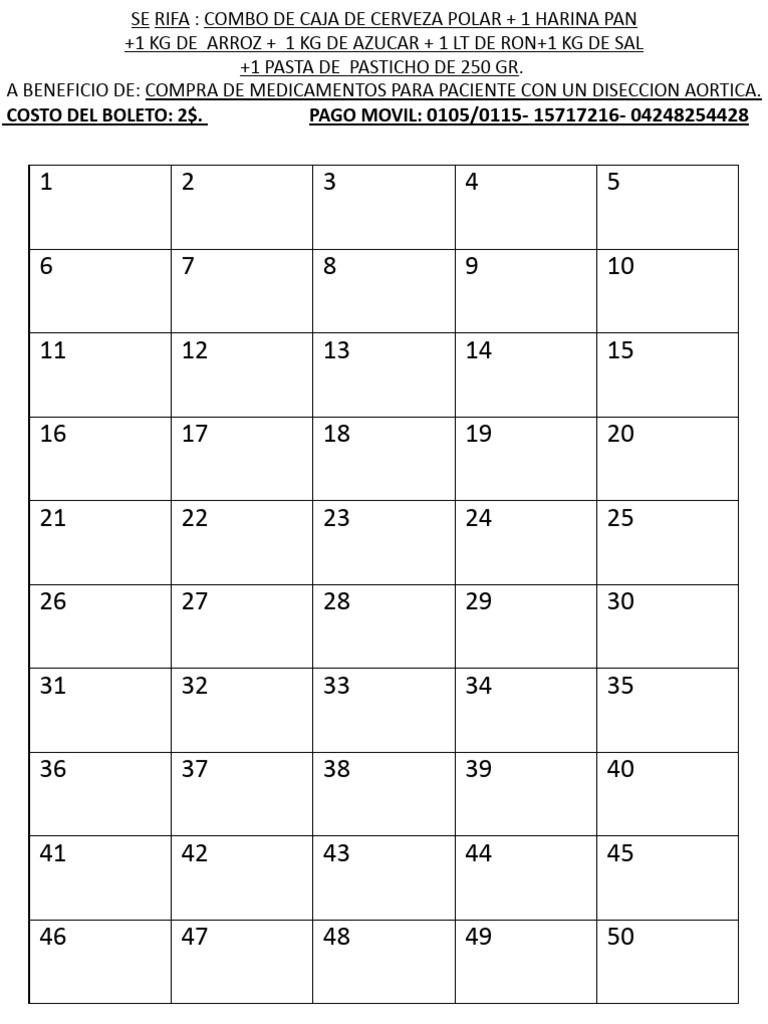 Formato Rifa 100 Numeros | PDF