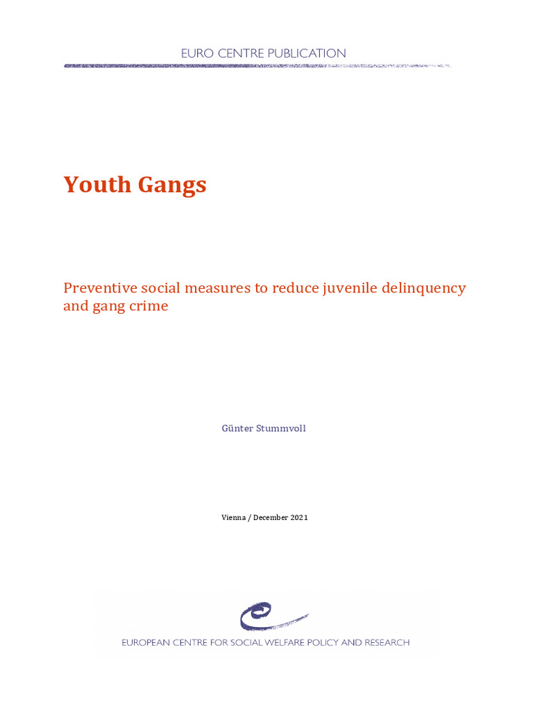 Youth Gangs - Final Report | PDF | Juvenile Delinquency | Deviance (Sociology)