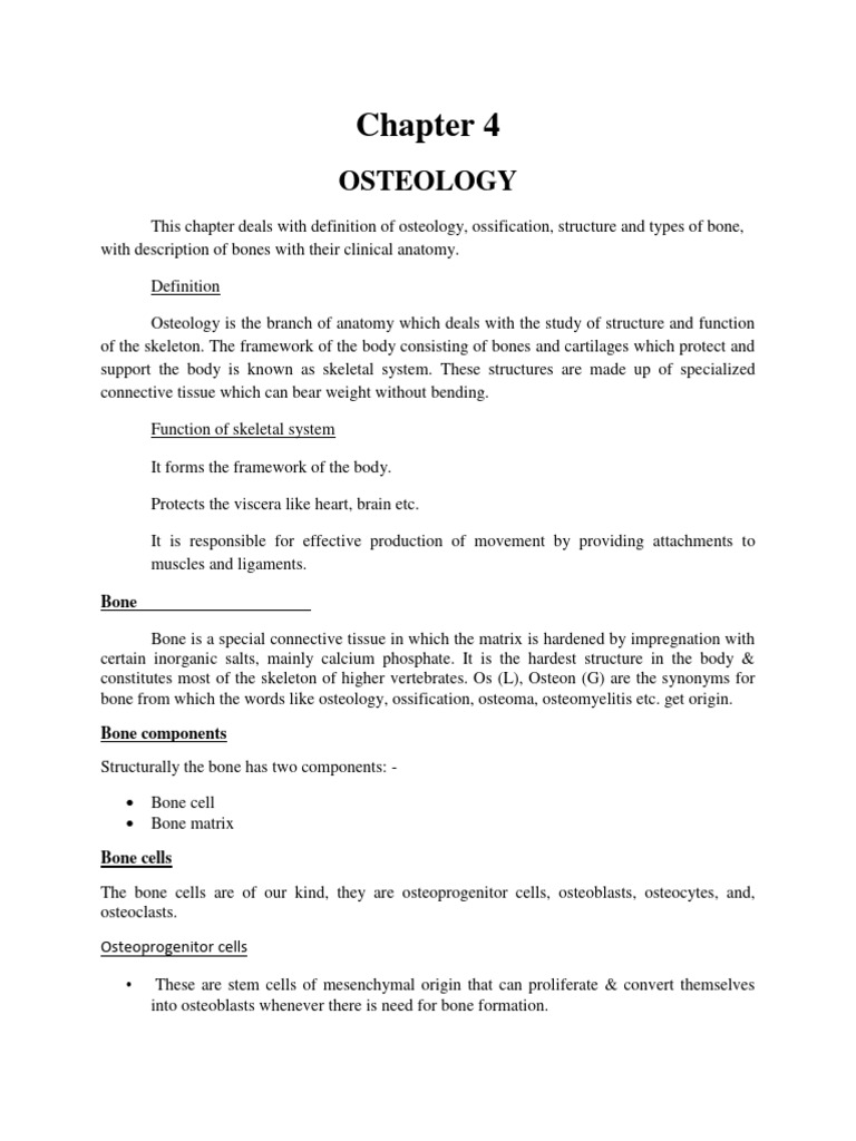 4 Osteology | PDF