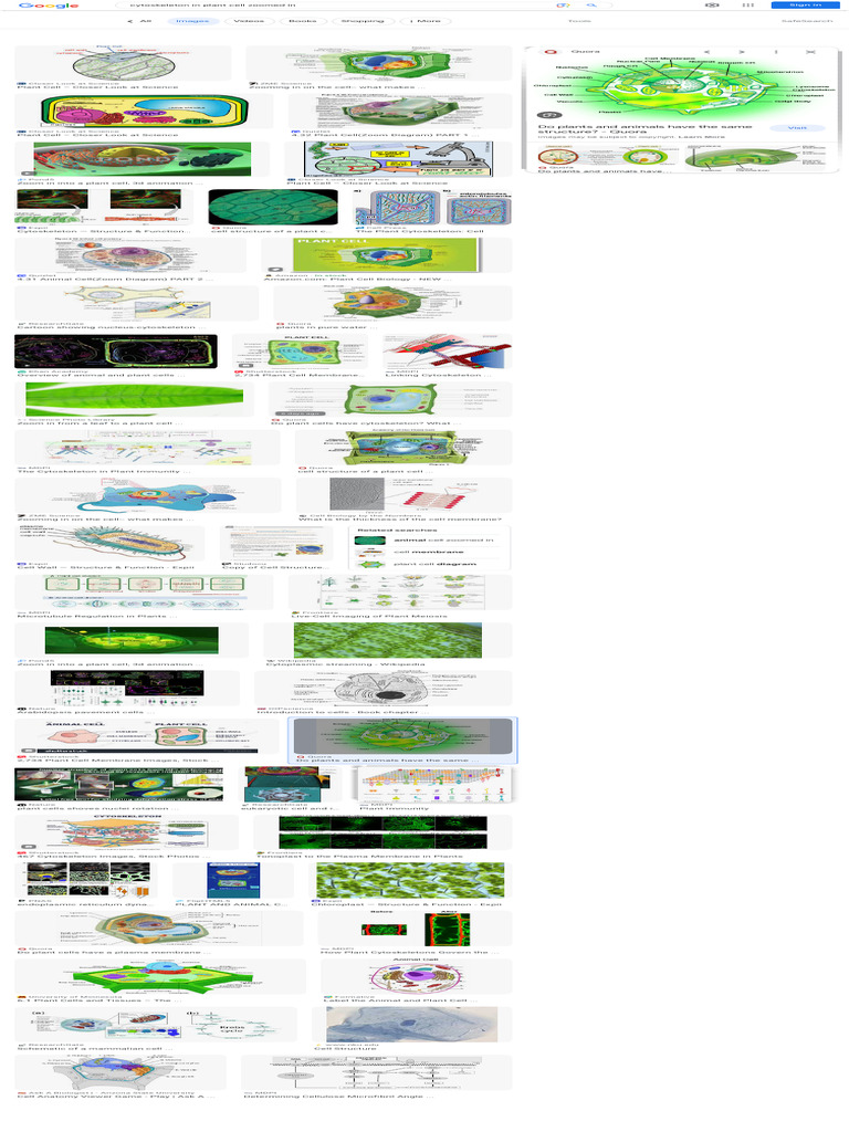 Cytoskeleton in Plant Cell Zoomed in - Google Search | Download Free ...