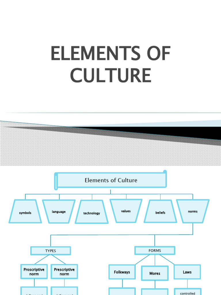 Understanding Culture: Elements & Types | PDF
