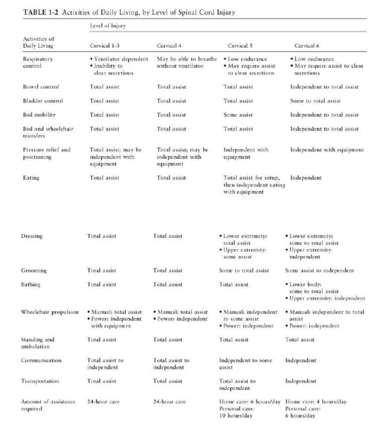 Function and C1 To C6 SCI | PDF