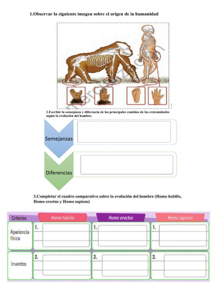 Actividad - Origen de La Humanidad | PDF