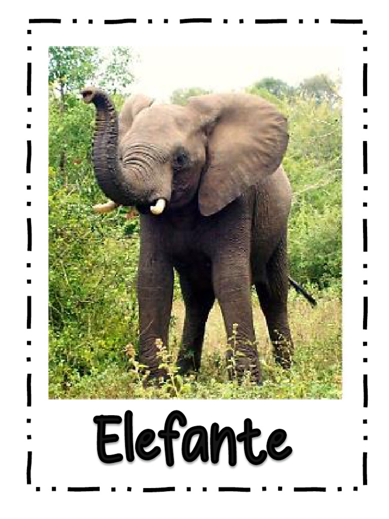 Tarjetas animales | PDF