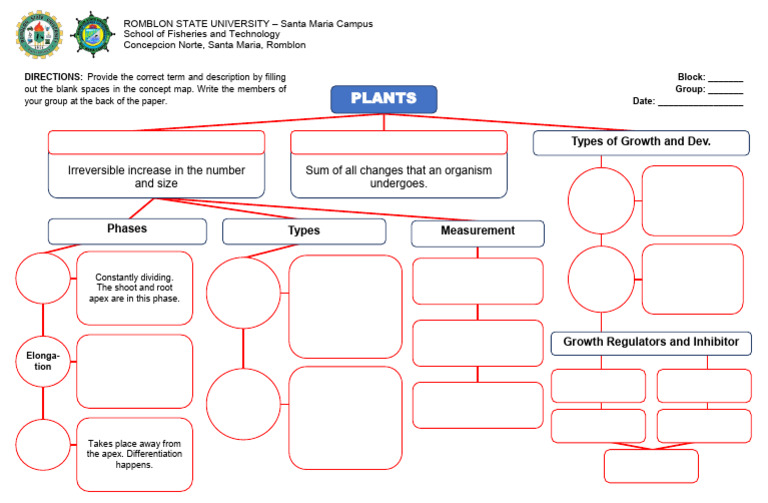 BOTANY Concept Map Activity | PDF