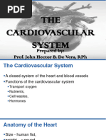 Anatomy Heart Cadaver | PDF | Heart Valve | Coronary Circulation