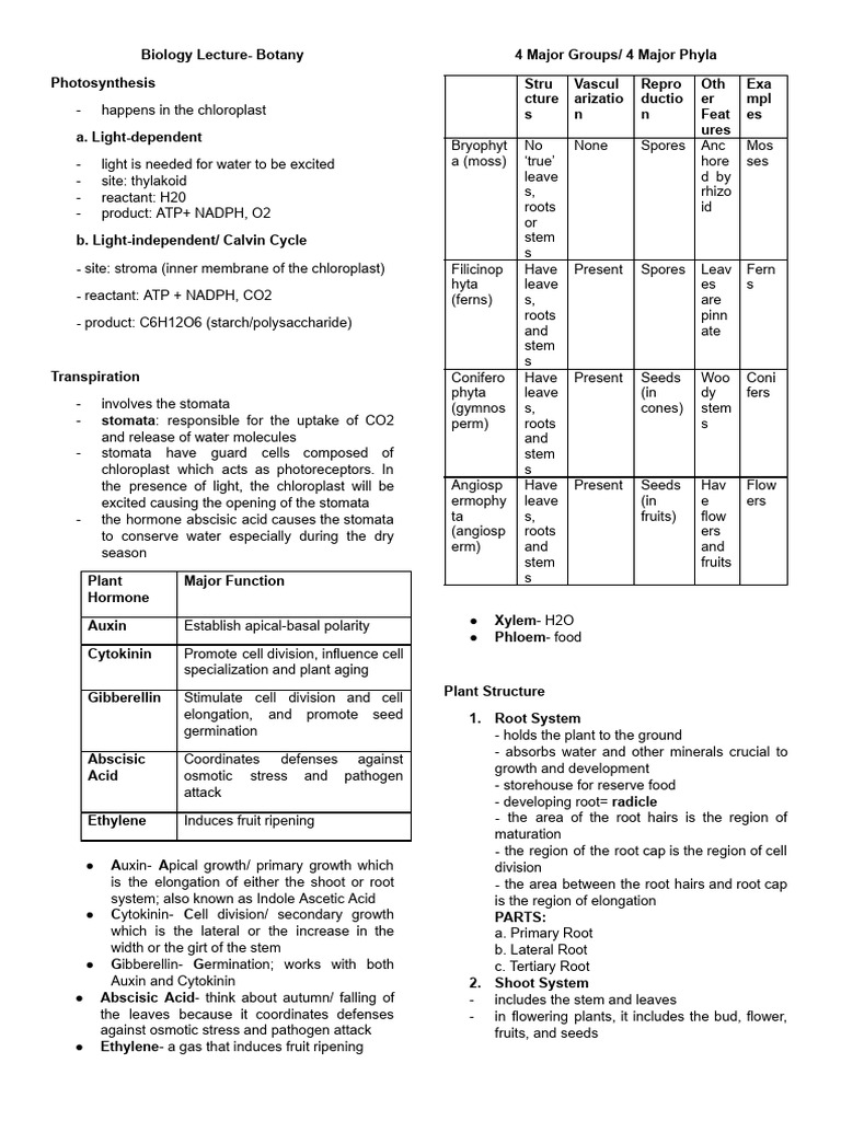Botany Basics: Photosynthesis & Plant Structure | PDF | Science ...
