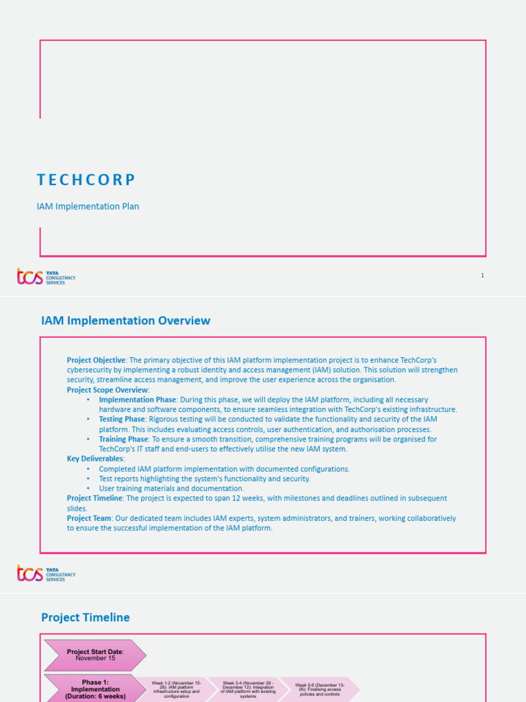 TechCorp Implementation Plan | PDF | Software Testing | Usability