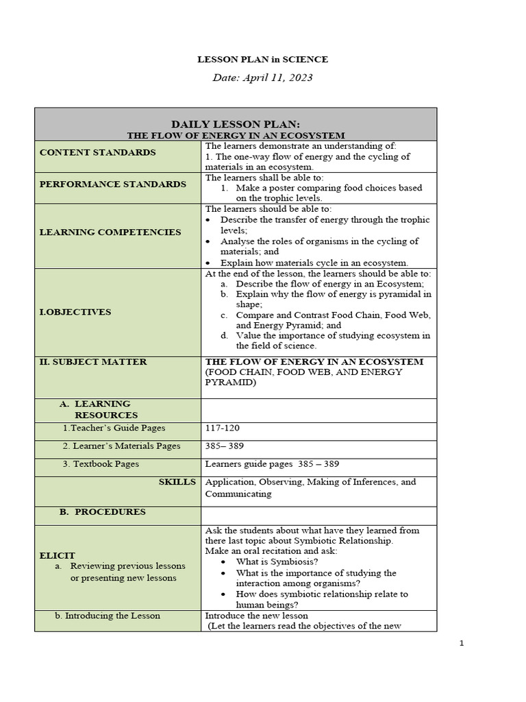 Energy Flow in Ecosystems Lesson Plan | PDF | Food Web | Learning
