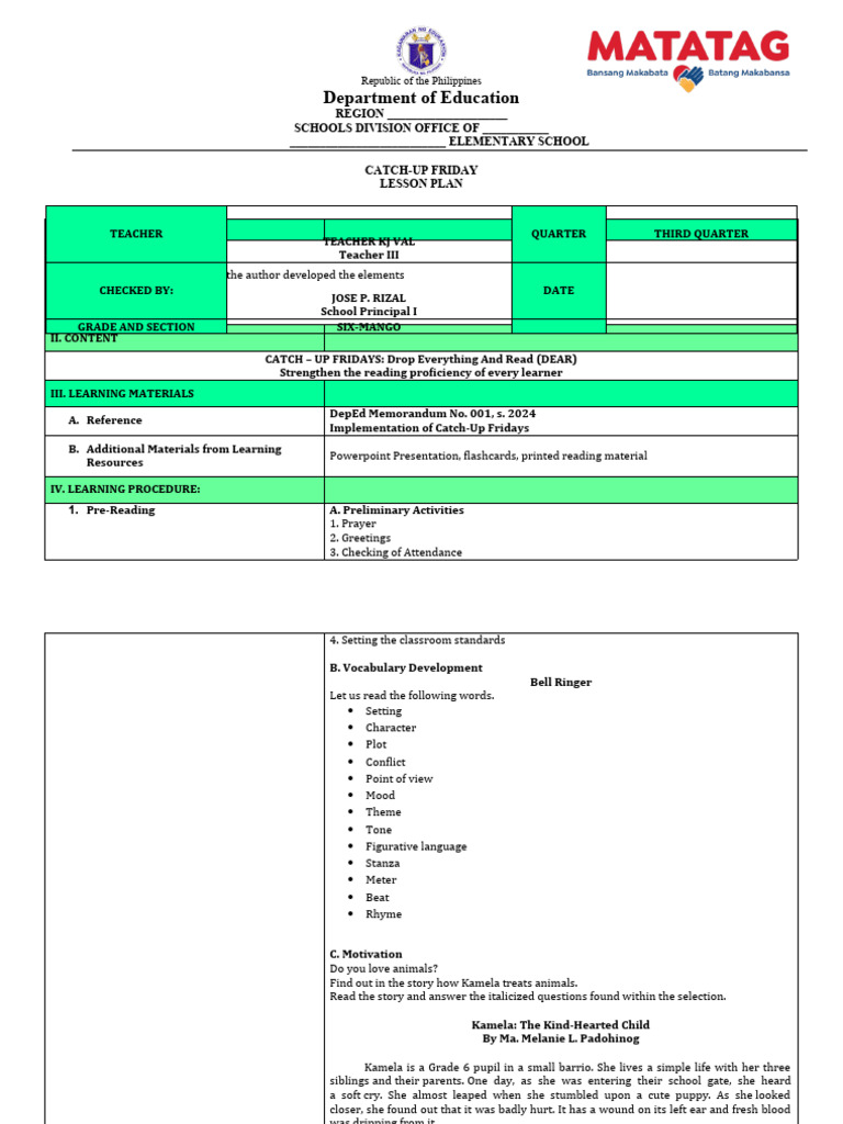 Catch-Up Friday Lesson Plan English, Reading and Literacy | Download ...