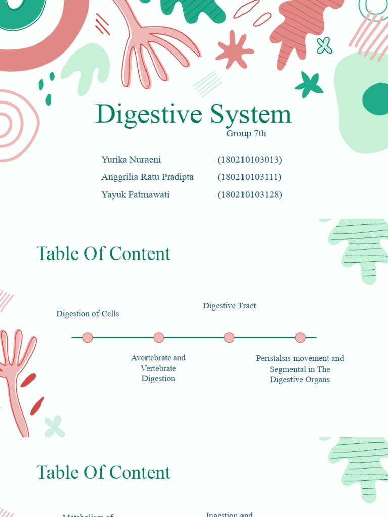 5 Group 5 Digestive System | PDF
