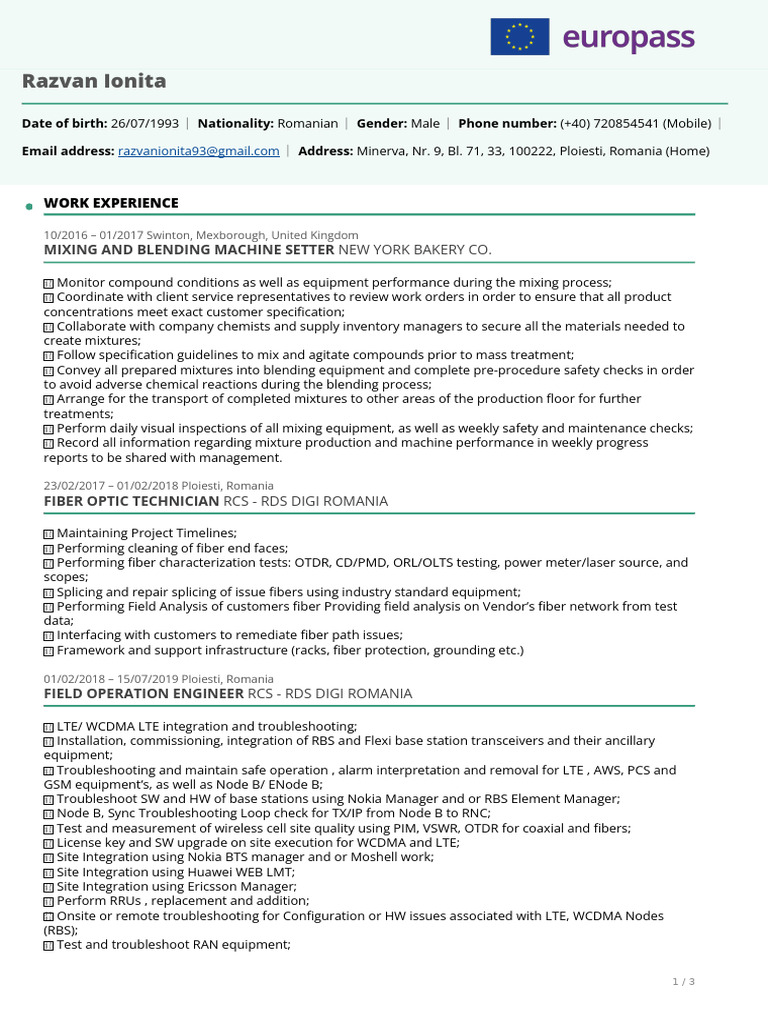 CV Razvan Ionita 2024 | PDF