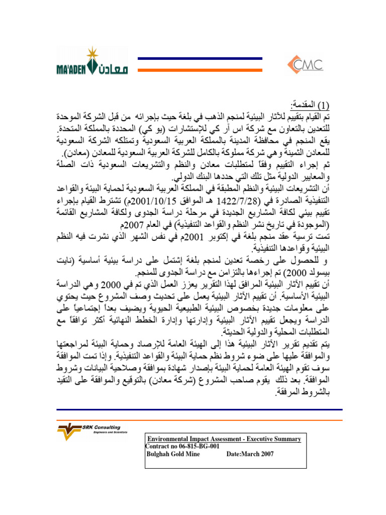 Bulghah Arabic Executive Summary FINAL | PDF