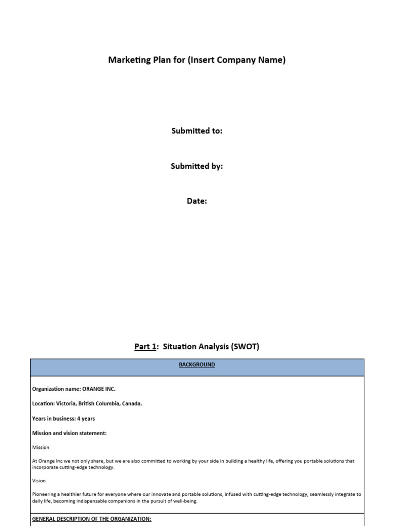 Marketing Plan Template 2024-2 | PDF