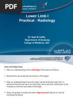Radiographic Positioning of Pelvis | PDF | Pelvis | Hip