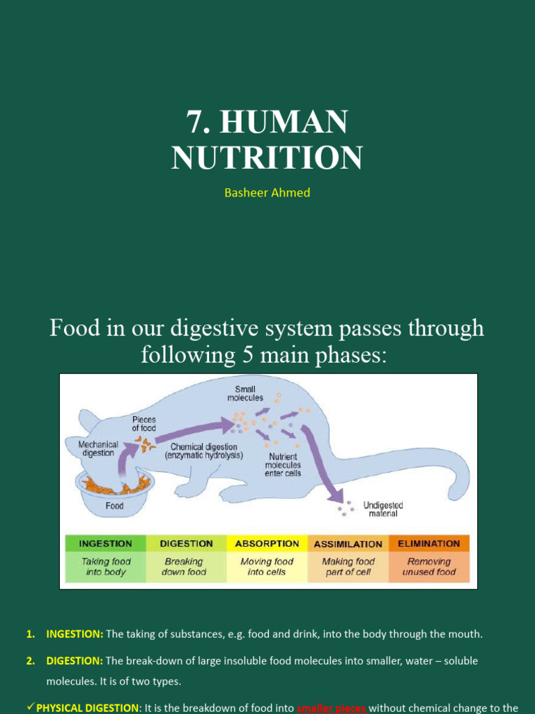 Human Nutrition | PDF