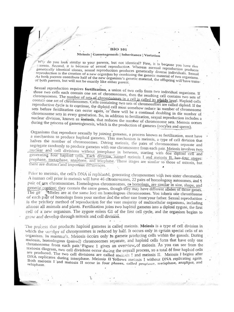 Meiosis Gametogenesis Inheritance Variation | PDF