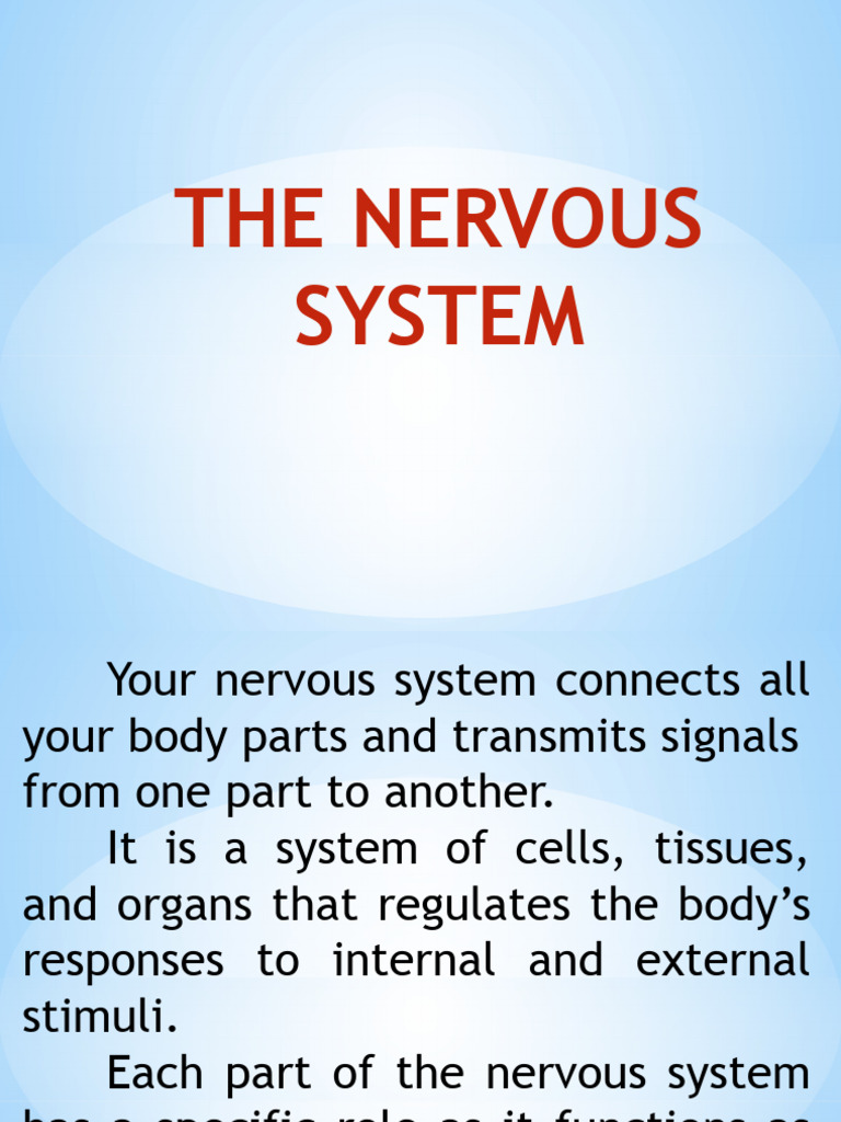 The Nervous System | PDF | Neuron | Nervous System