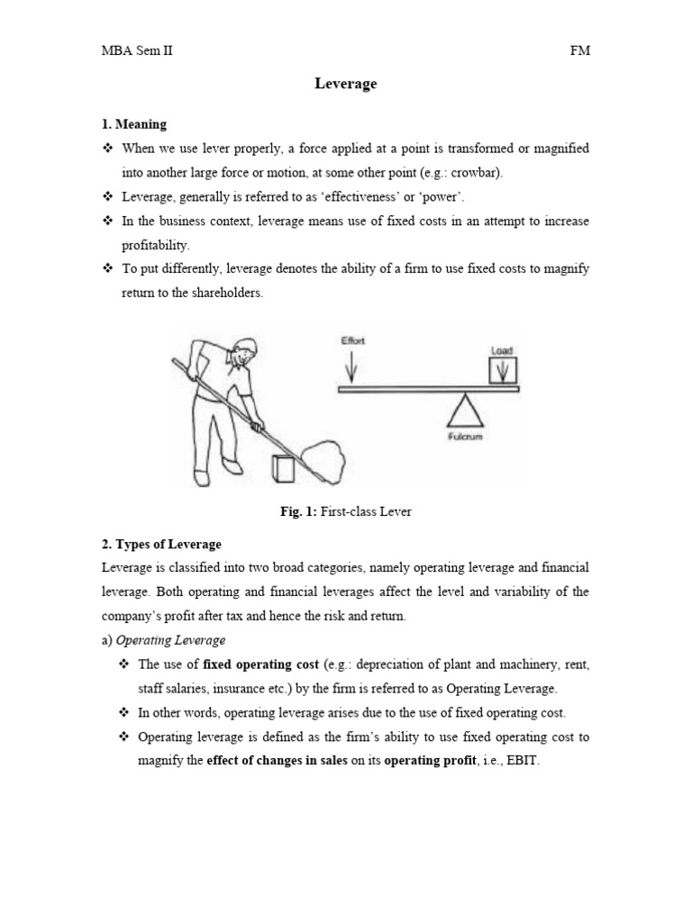 Leverage | PDF | Leverage (Finance) | Equity (Finance)