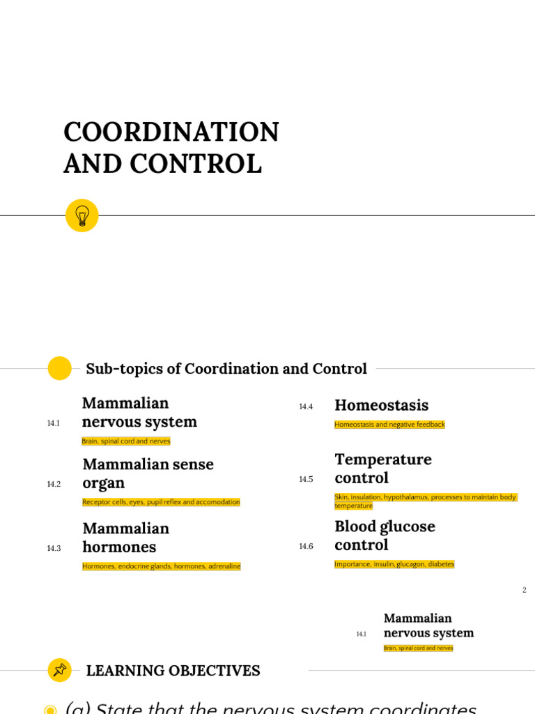 14 Coordination and Control | PDF | Neuron | Central Nervous System
