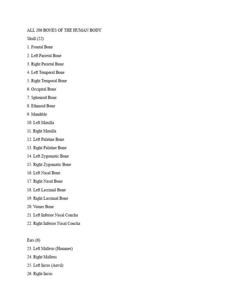 Human Body Bones List (206) | PDF | Vertebra | Toe