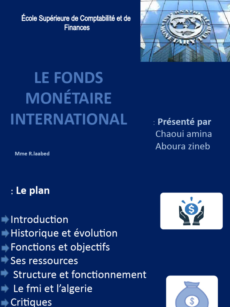 Comprendre le FMI : Rôle et Critiques | PDF | Fonds monétaire ...