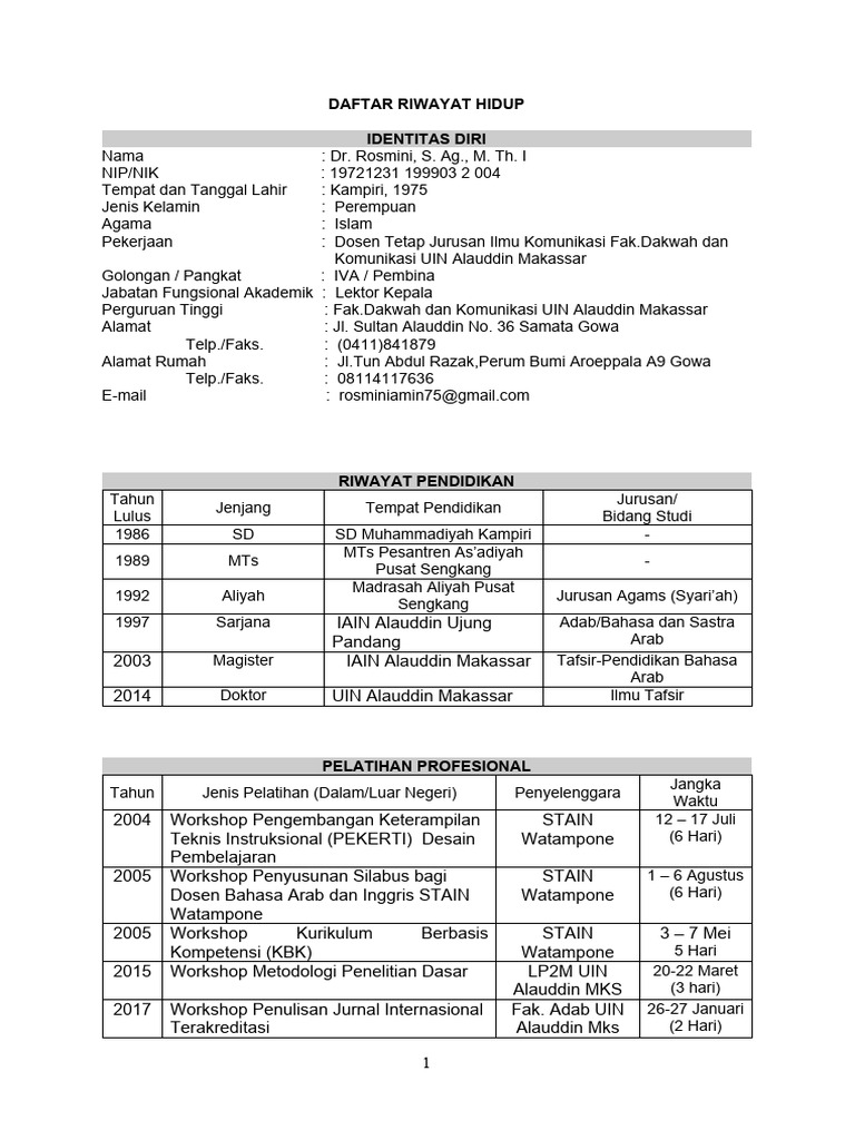 CV Singkat Rosmini | PDF