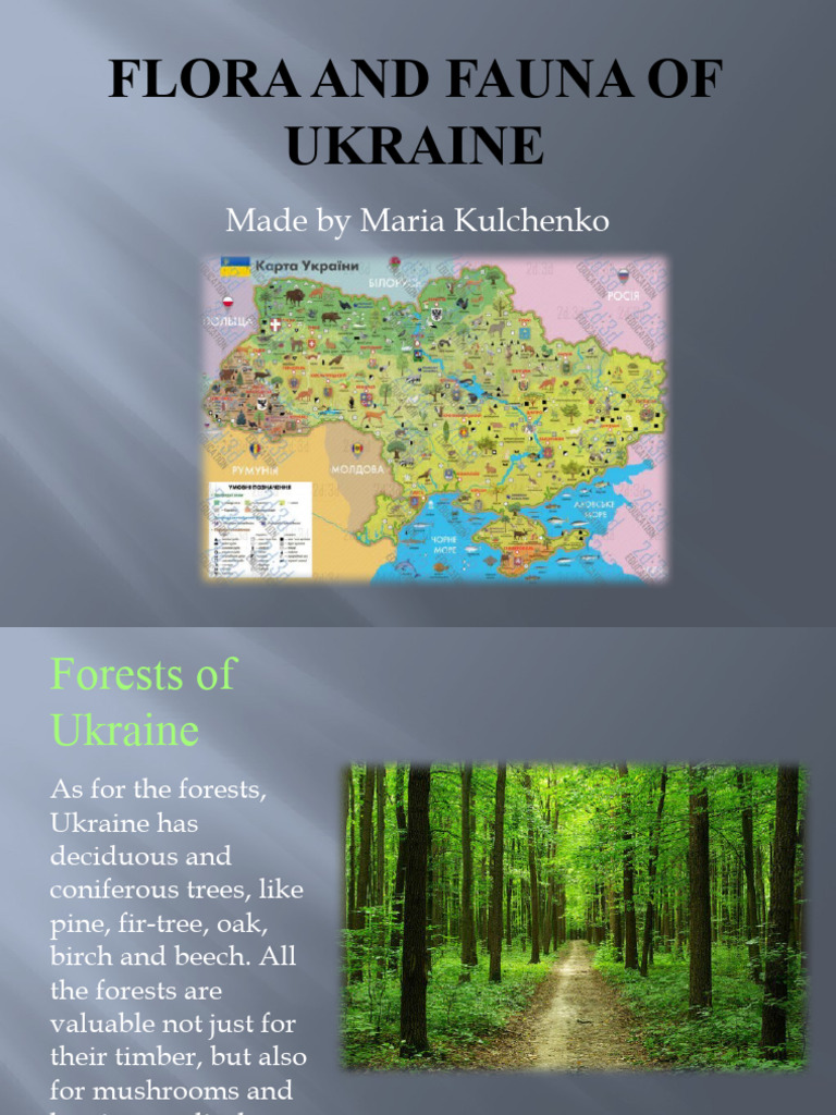 Flora and Fauna of Ukraine Overview | PDF | Ukraine | Deer