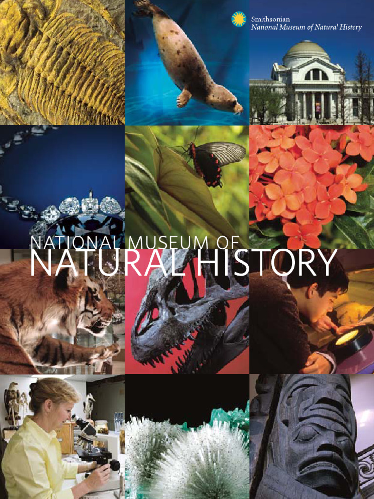 Smithsonian | PDF