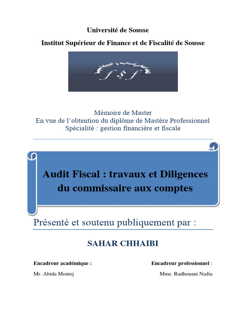 Audit Fiscal | PDF