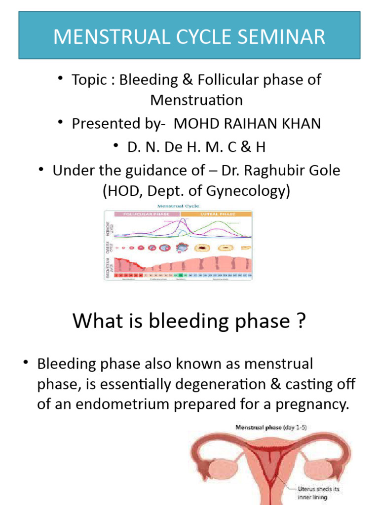 Menstrual Cycle Phases Explained | PDF