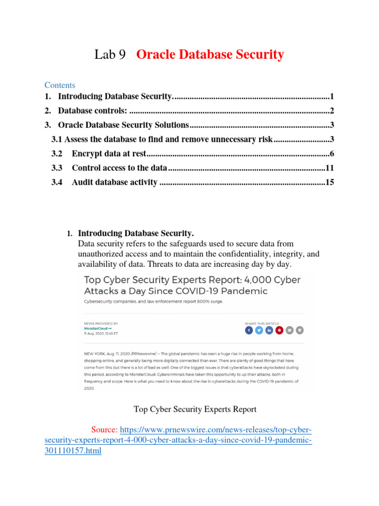 Lab4 Oracle Database Security | PDF